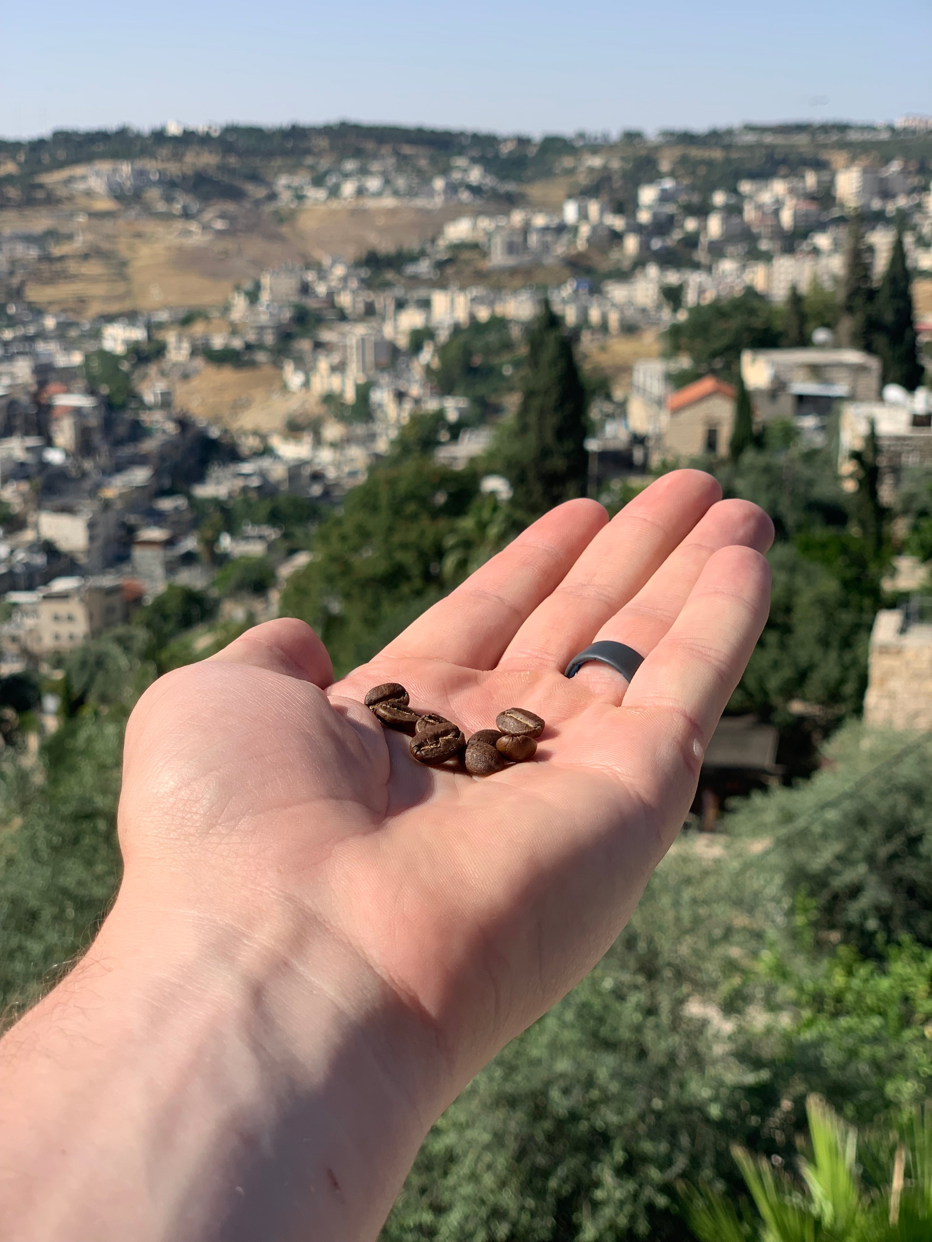 The History of Middle Eastern Coffee